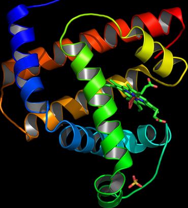 Pengertian, Fungsi dan Sifat-sifat Enzim