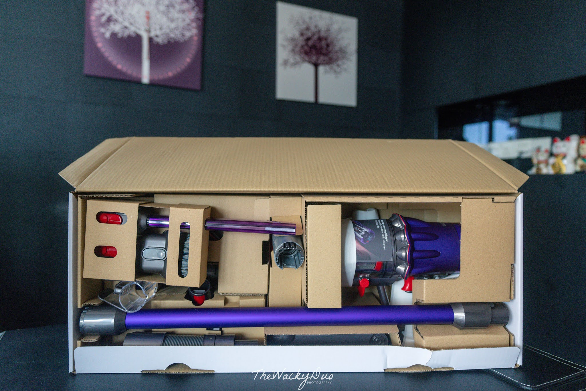 Dyson Digital Slim Fluffy Extra Review : Made for Asian Homes ...