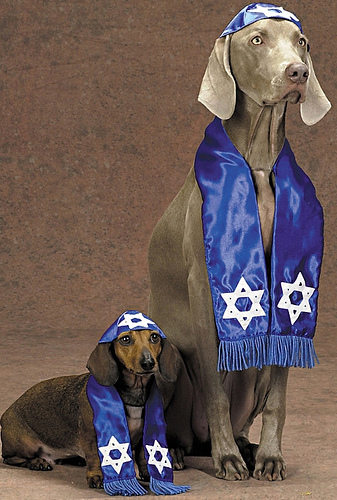 Are Dogs Halal? : Islam and Dogs - The Influence of Judaism