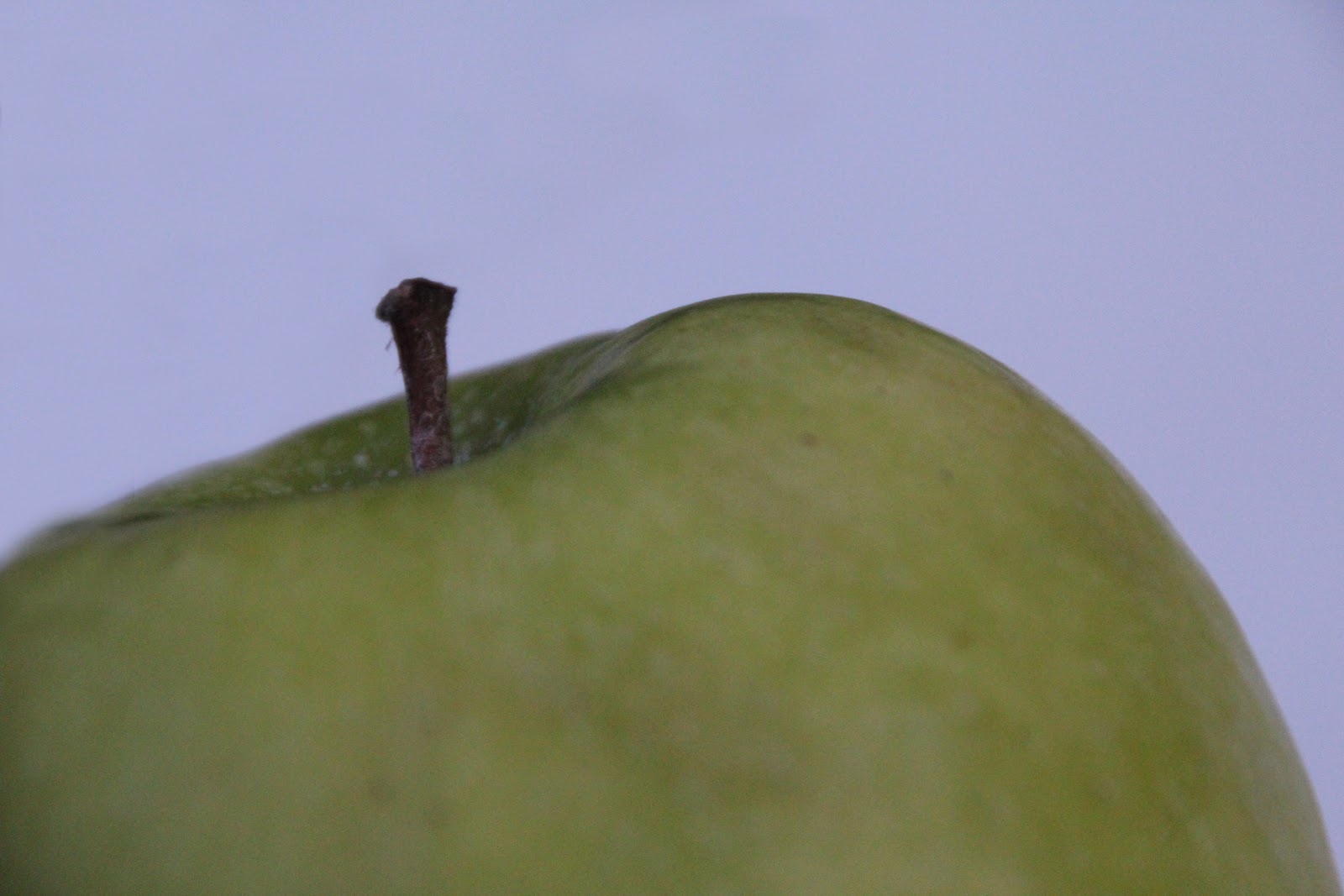 Ryan Perry ART 290: January 2013