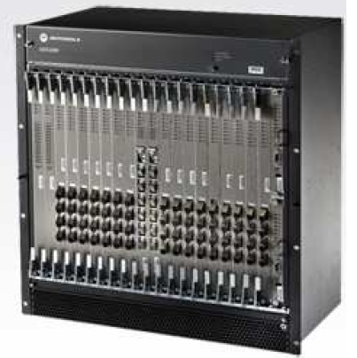 Function of OLT and ONT