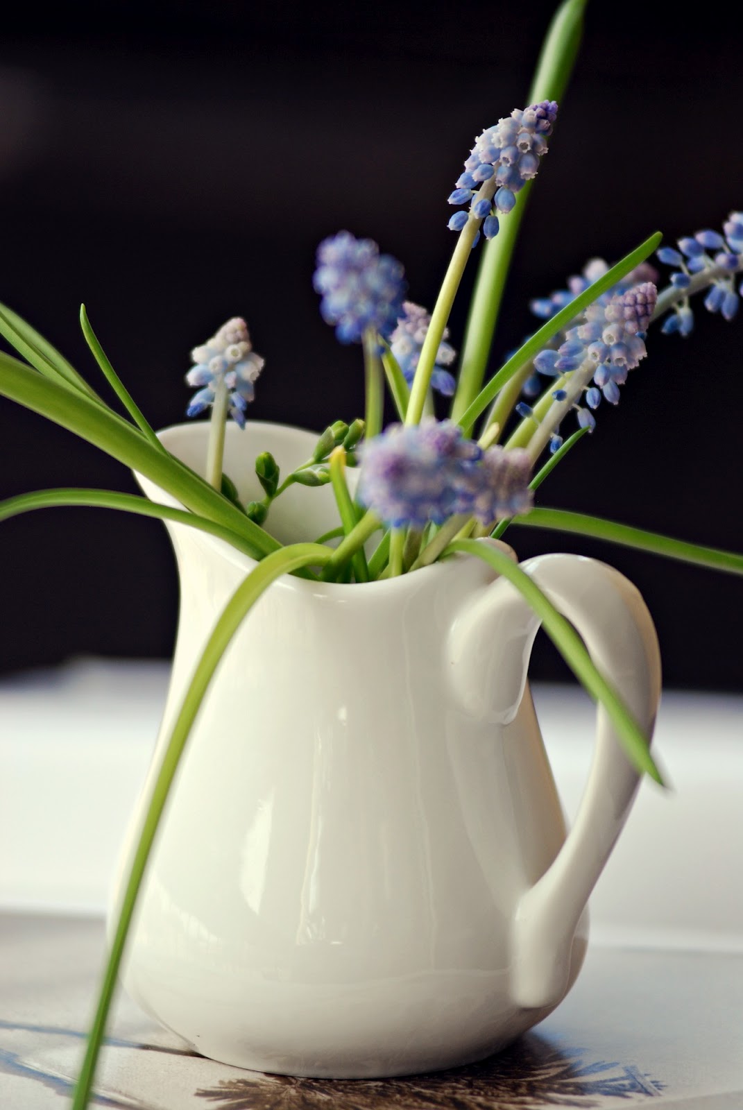 Spring Thoughts & Pictures | Sylvia's Simple Life