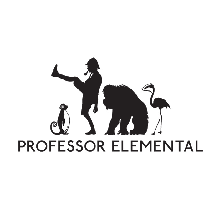 Classical Connections: Artists's Profile: Professor Elemental