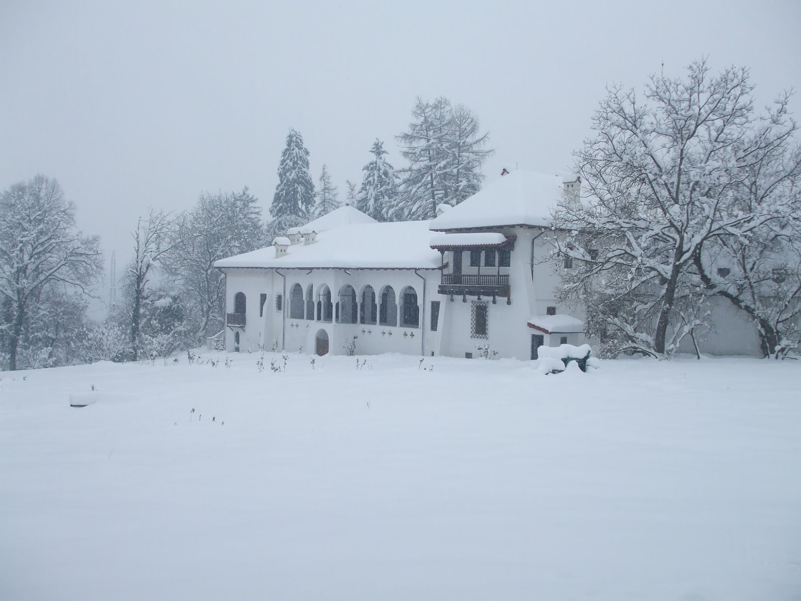 MONUMENTE ISTORICE DIN ROMANIA : Conacul Nicolae Balcescu