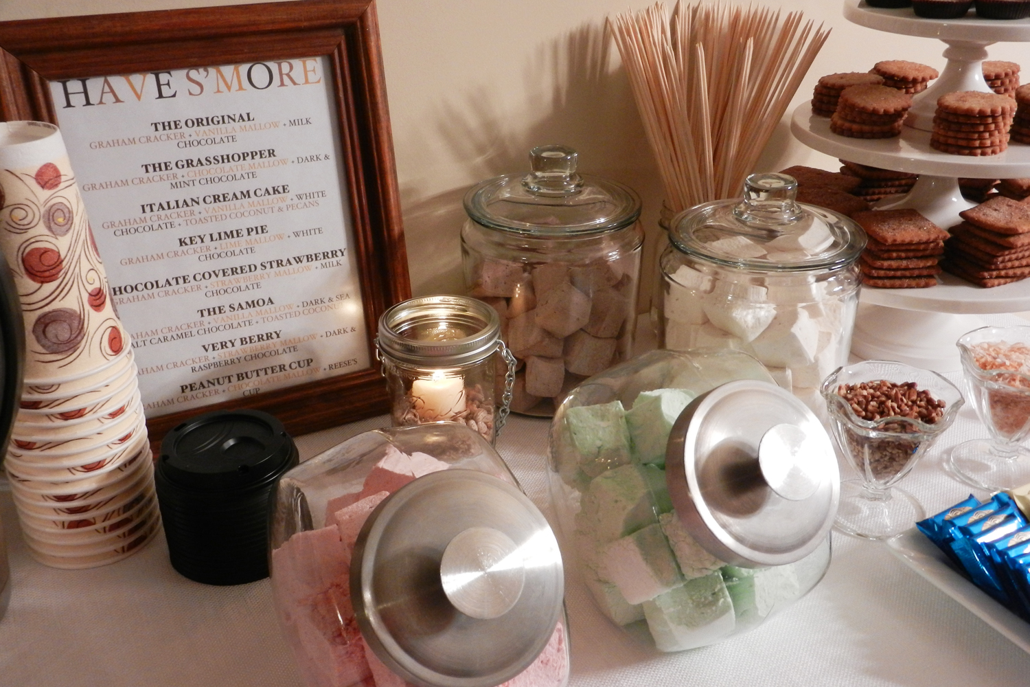 That Winsome Girl: The S'more Party