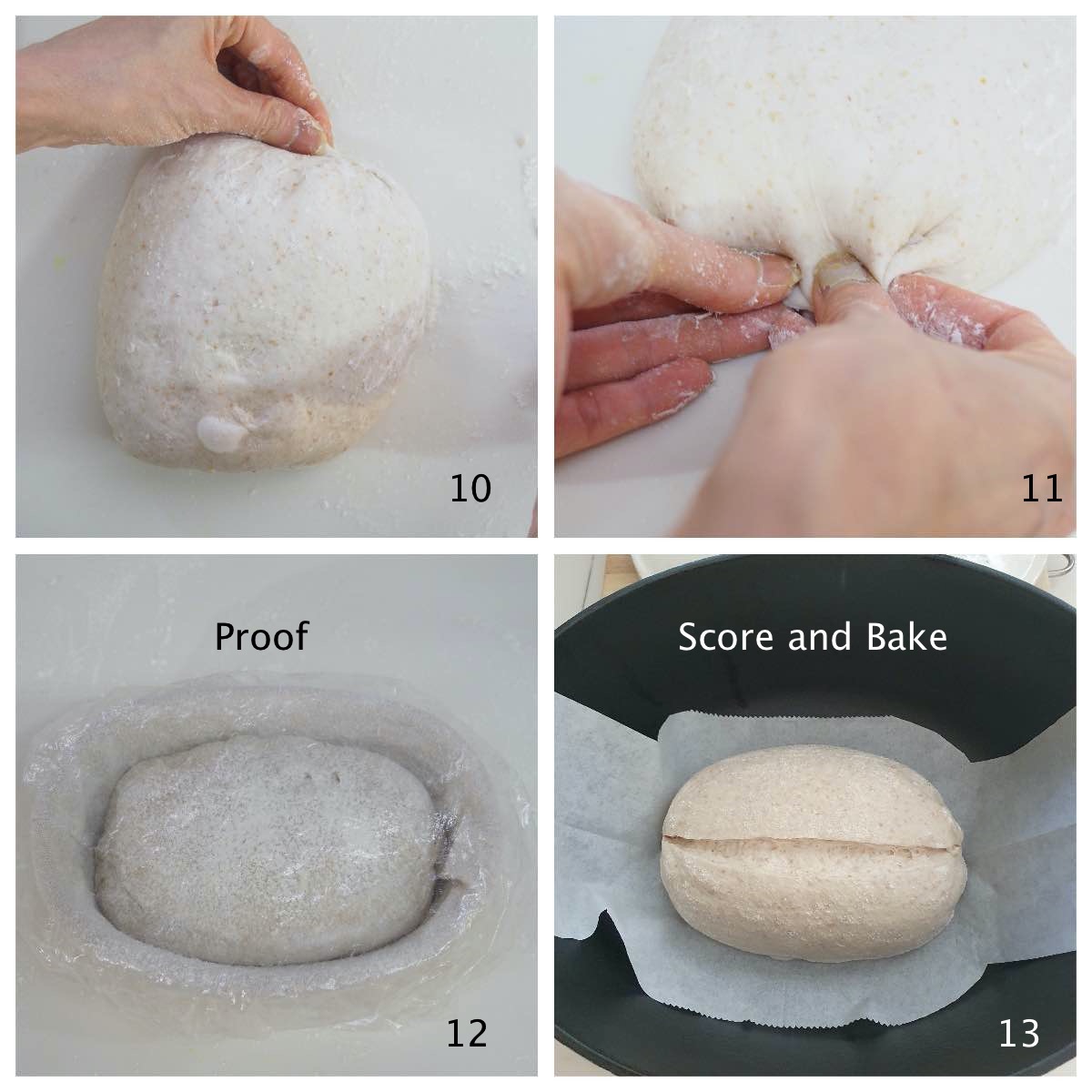 Basic Open Crumb Sourdough Bread (Medium Hydration) - BAKE WITH PAWS