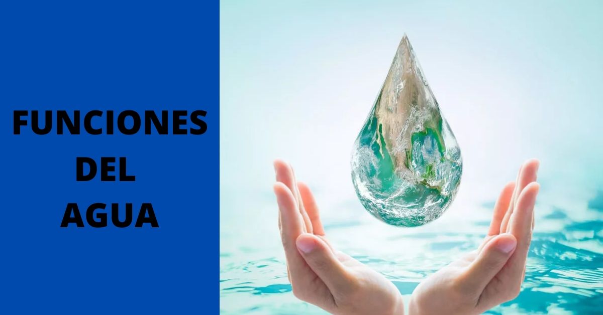 Agua: TODO acerca del Agua | Nutricionista Ecuatoriano