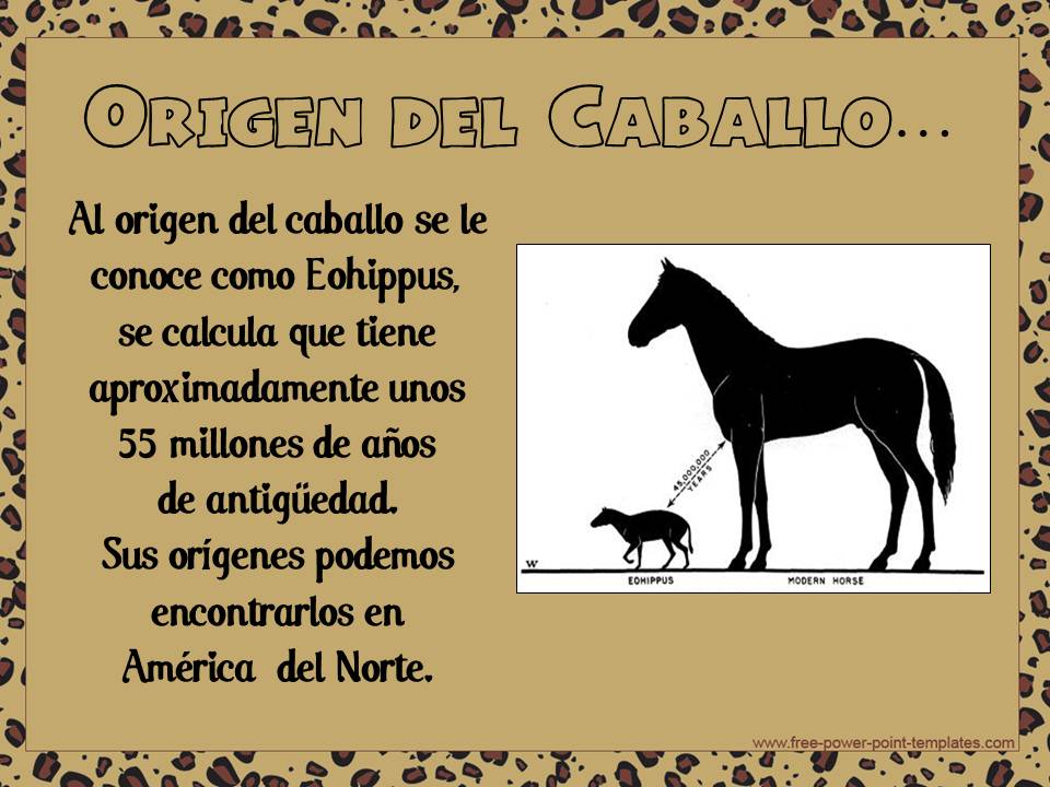 Mas que un Mamifero !: Origen y evolución del caballo