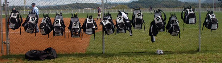 fromtheeditr: A Fine Day for Softball at the Spectacular Botetourt ...