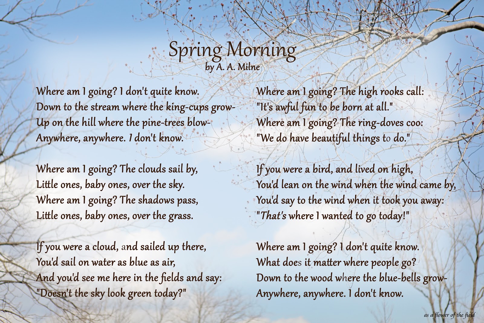 As a Flower of the Field: Spring Morning
