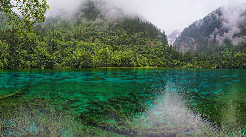 Five Flower Lake – Jiuzhaigou