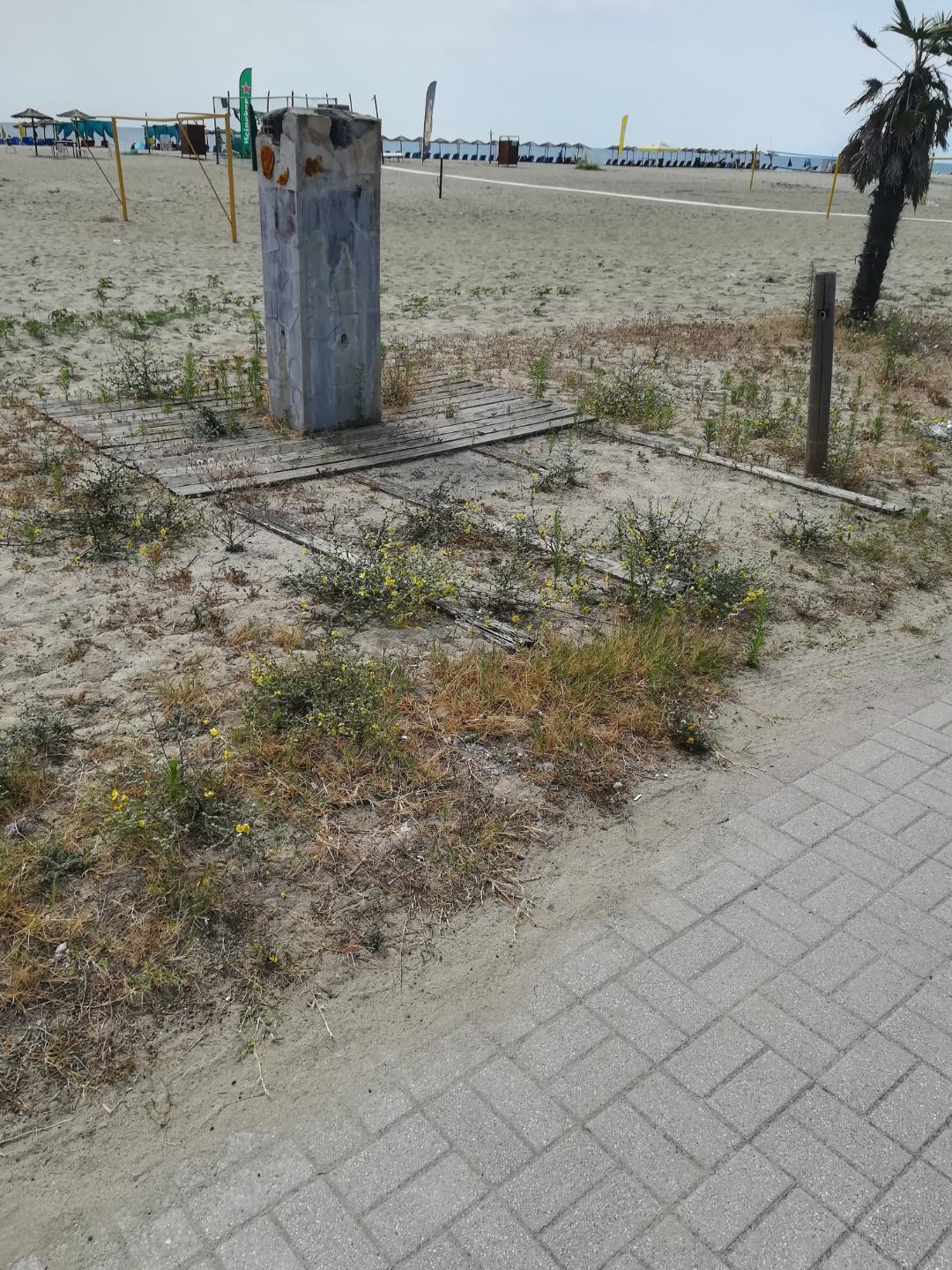ΛΕΥΤΕΡΙΑ: ΟΛΥΜΠΙΑΚΗ ΑΚΤΗ ΣΕΠΤΕΒΡΙΟΣ 2019