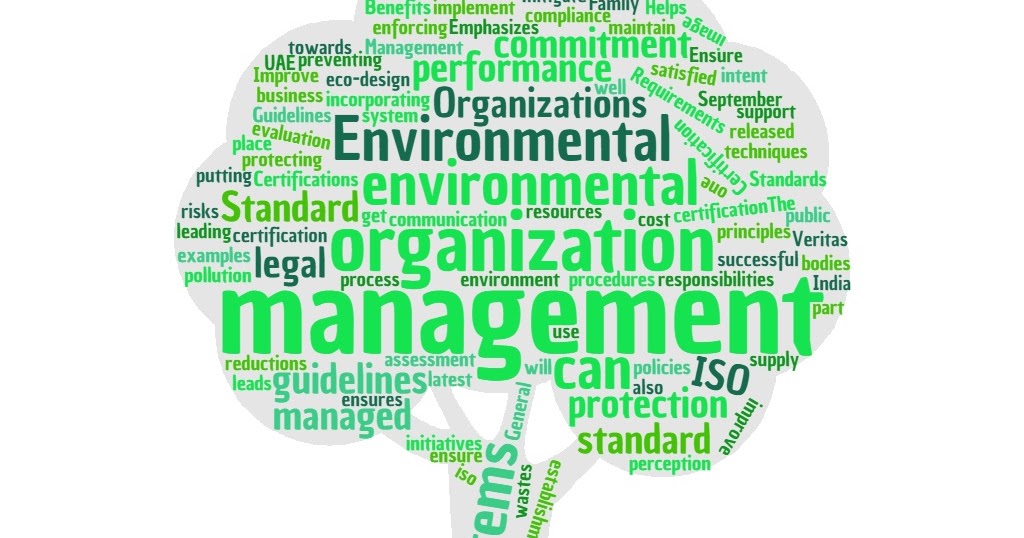 Choosing a career path in Environmental Management: Prospects from a ...