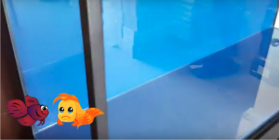 How to Spray Paint A Glass Fish Tank