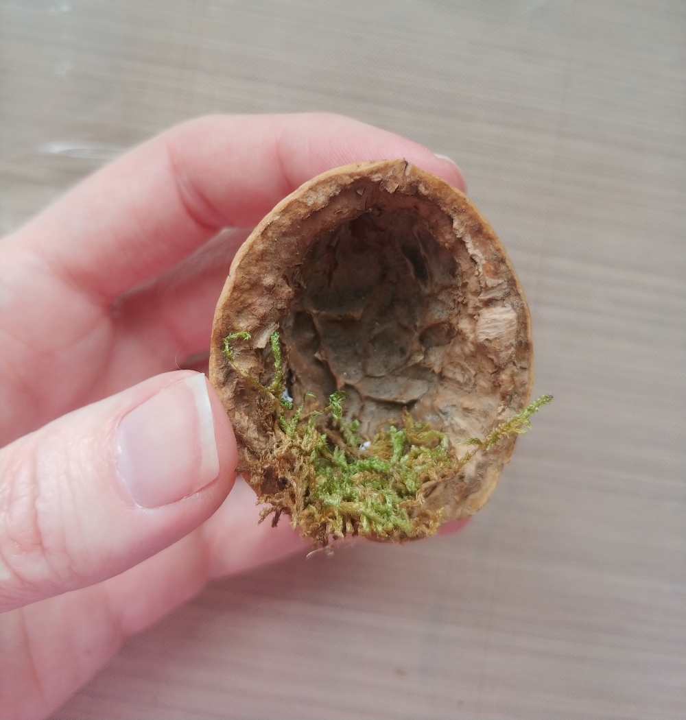 Miniature Scenes from Walnut Shells - Little Vintage Cottage