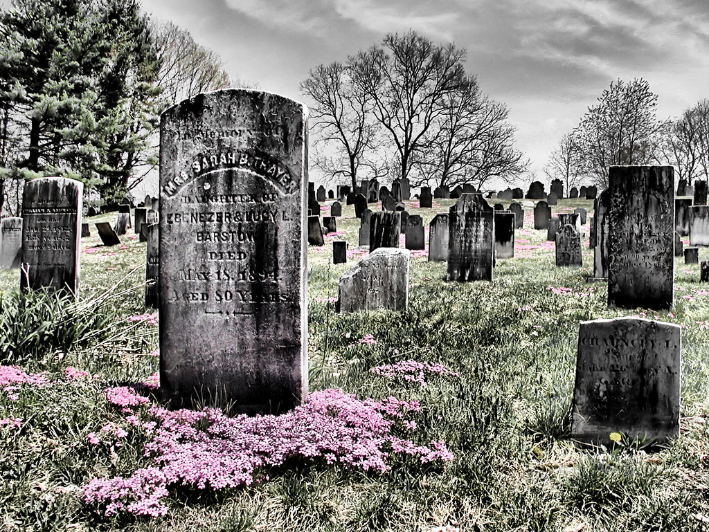 Heartstrings: Cemetery fence Heartstrings: Cemetery fence