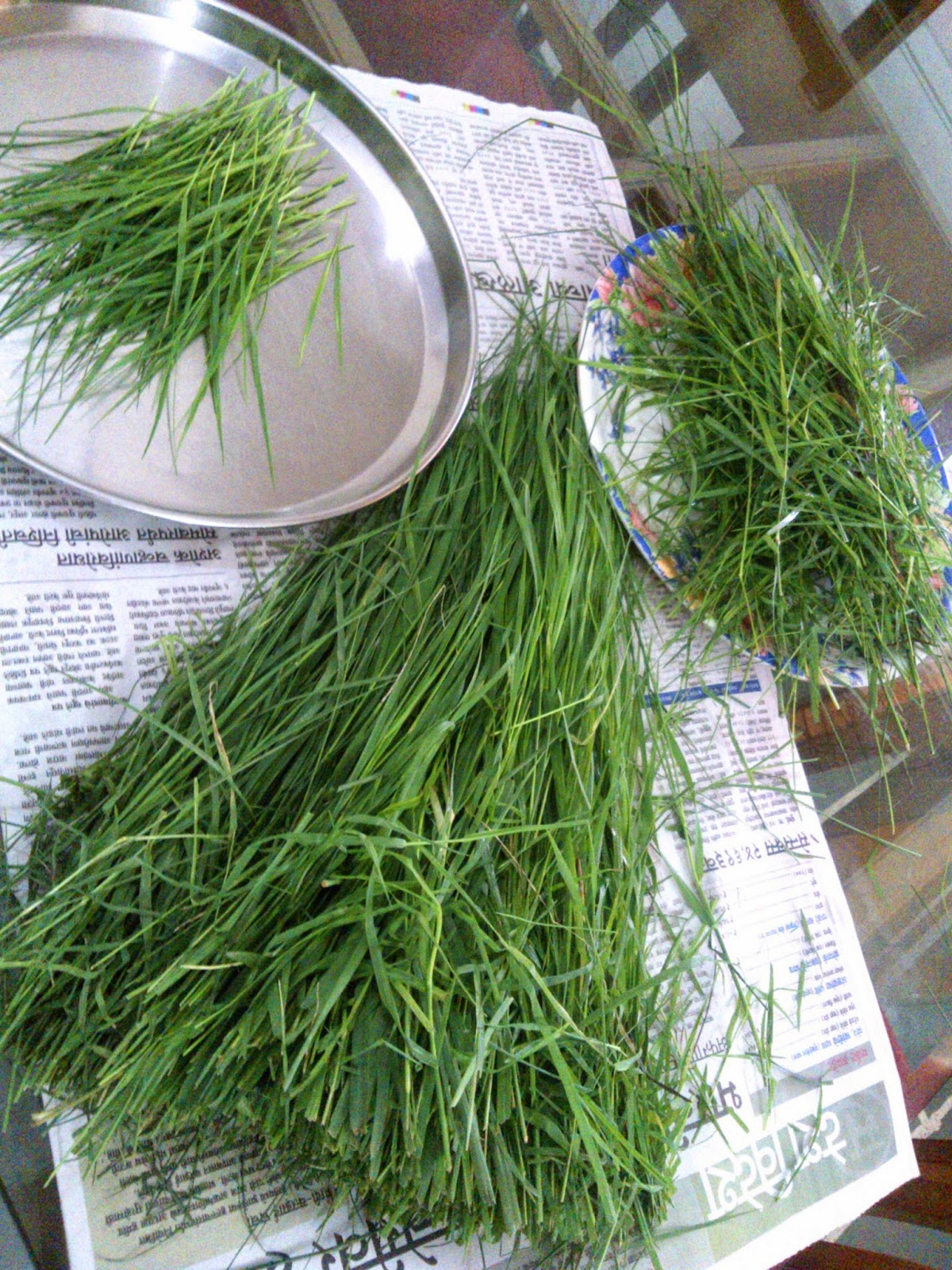 Spice of Life!: Tedious Yet Satisfying!