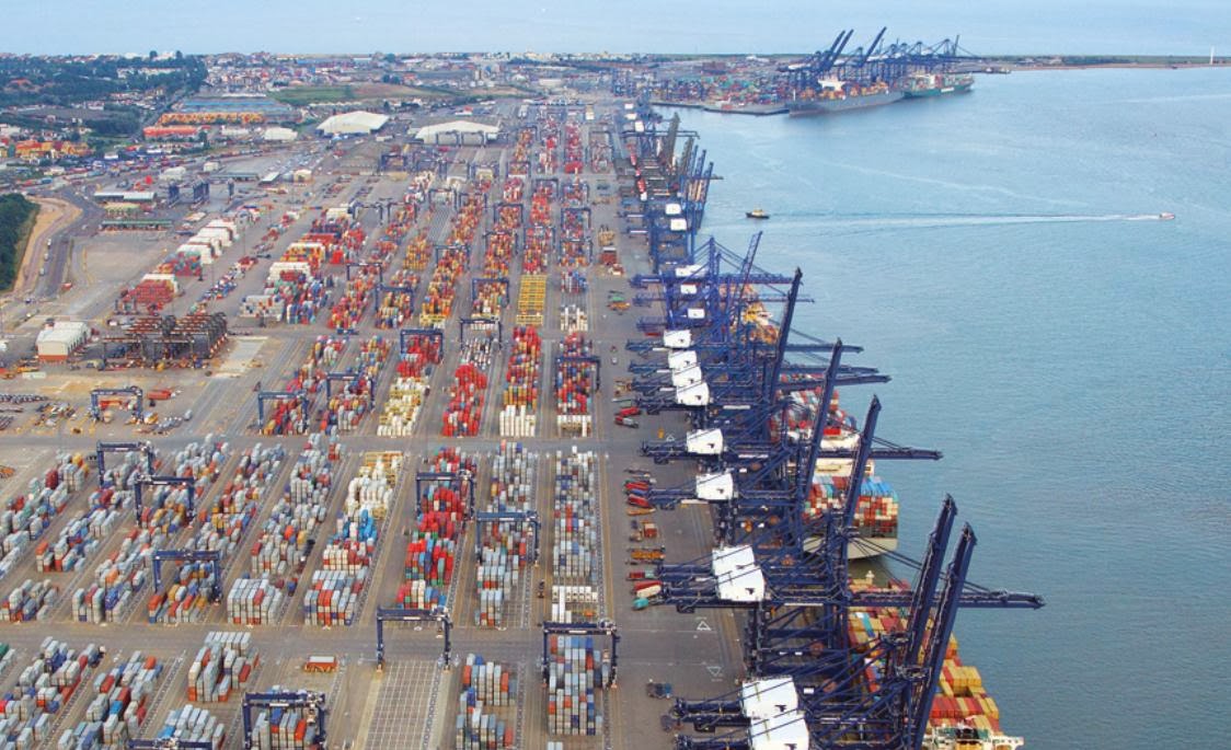 London container terminal appoints industry expert