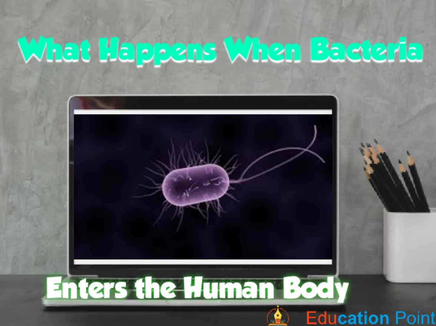 WHAT HAPPENS WHEN BACTERIA ENTERS OUR BODY