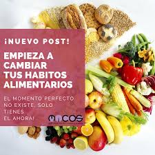 Hábitos Alimentarios : CONCEPTO