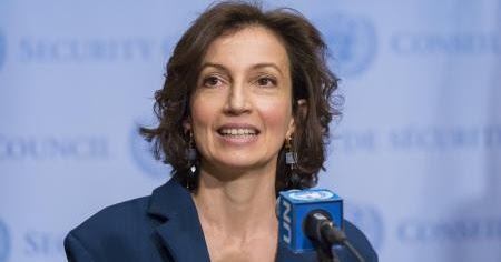 Portable Antiquity Collecting and Heritage Issues: Audrey Azoulay ...