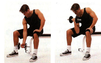 How to Use Dumbbell for Various Exercises | FITNESS TIPS