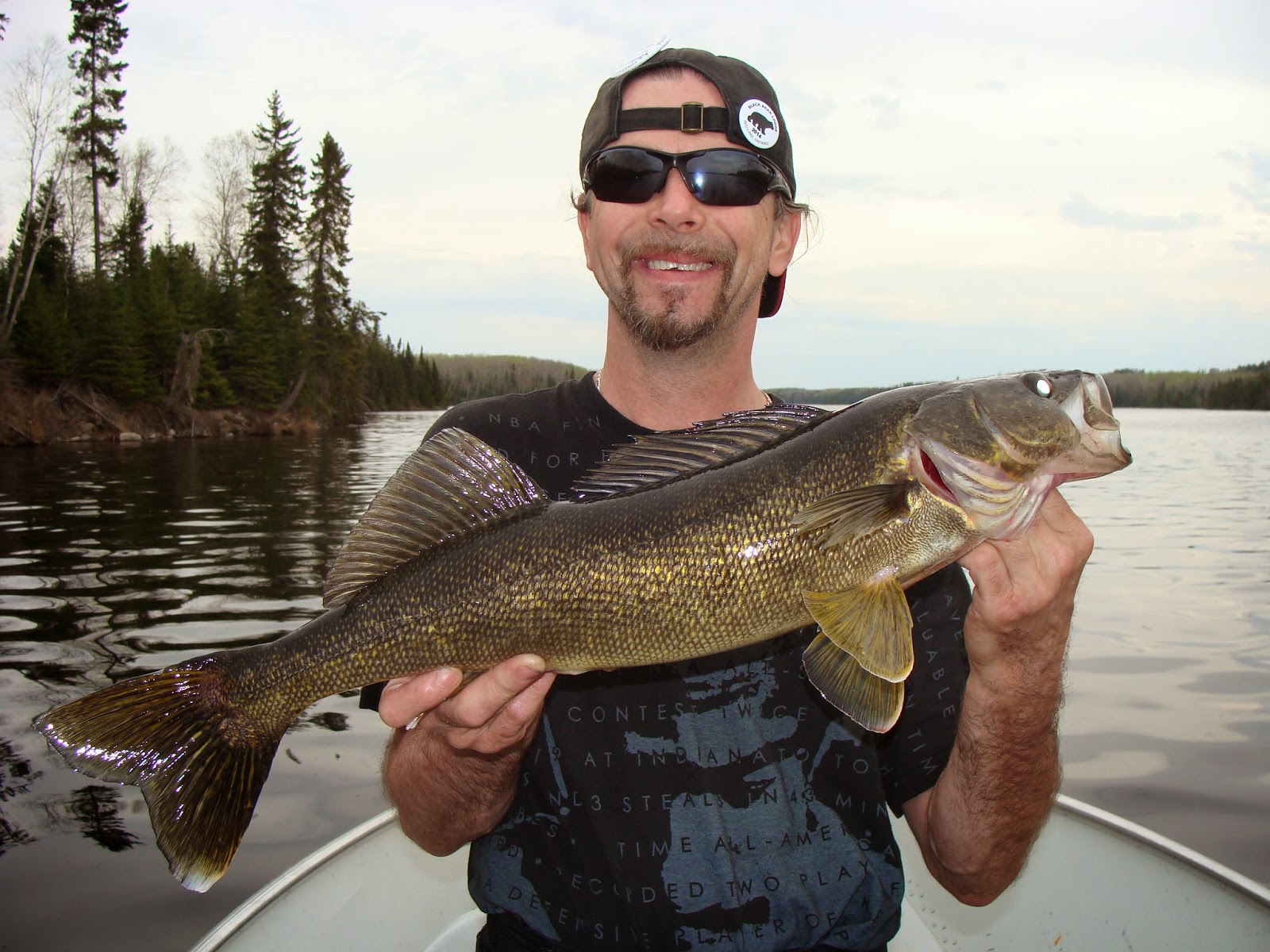 Black Bear Lodge Blog: Biggest Walleye of 2014