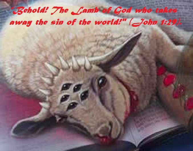Lamb Of God Bible