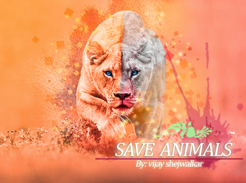 Save Animals Logo