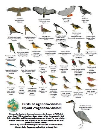 Earth on the Wing: Art and science collide!