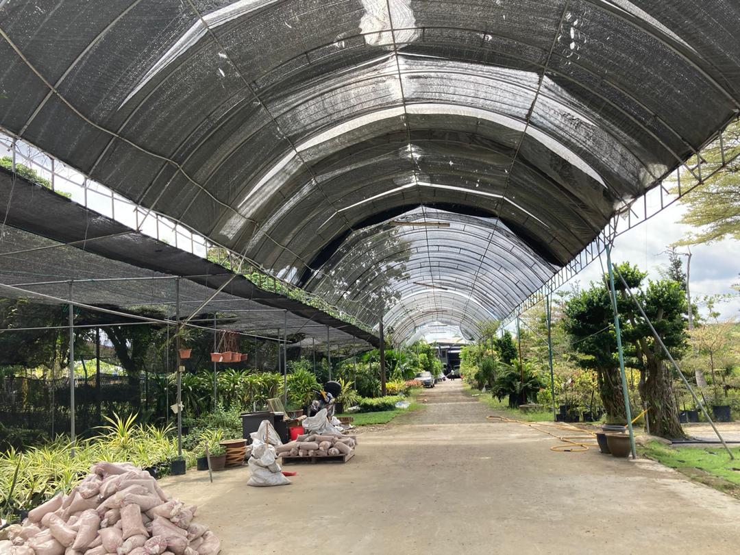Kedai Pokok Bunga Murah di Banting, Selangor - Azwar Syuhada