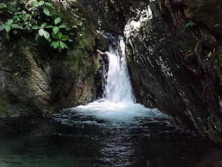 Conociendo El Estado Lara: Parques de el Estado Lara