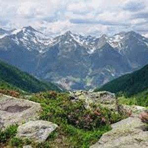 Actividad Repaso. Gif animado.