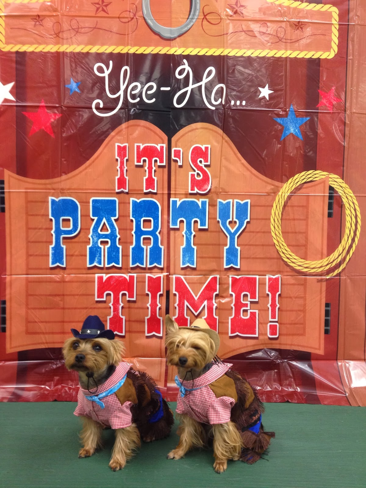 Wandering Chewy: It's a double western doggity birthday pawty...YEEHAW!