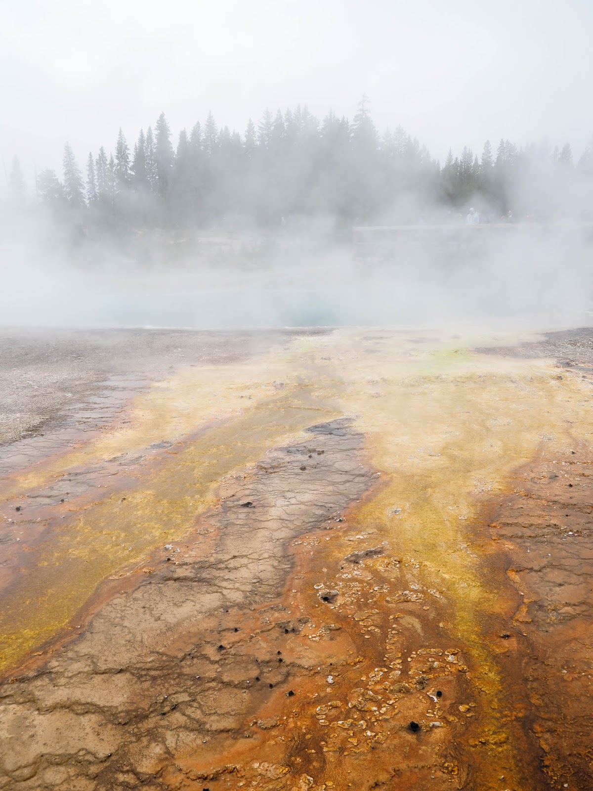 Little Hiccups: Yellowstone National Park: West Thumb Geyser Basin