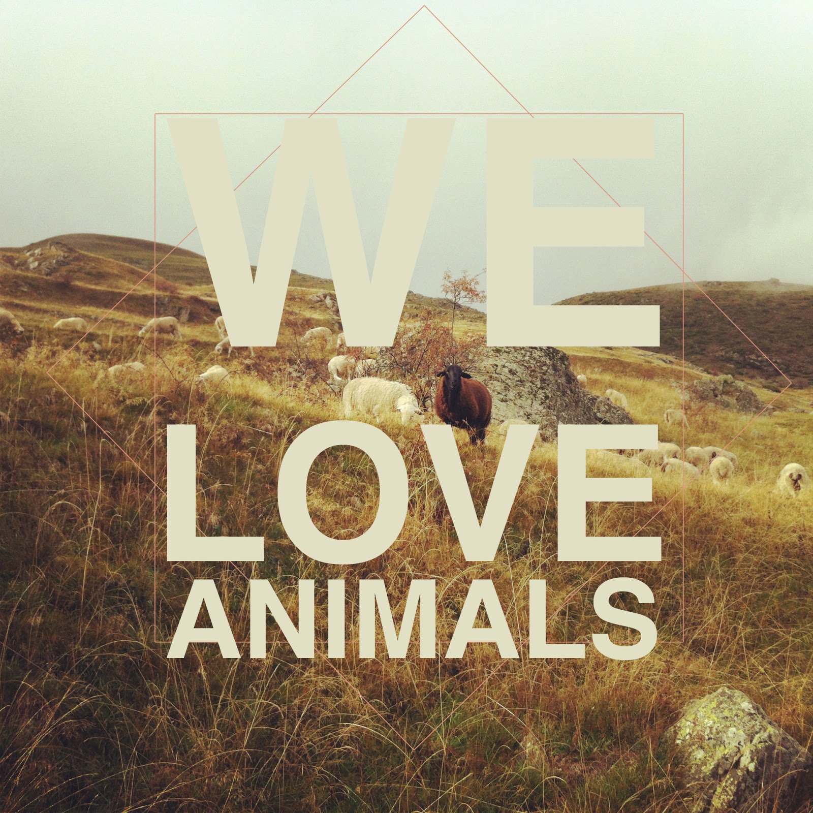 MEUBLÉ: WE LOVE ANIMALS