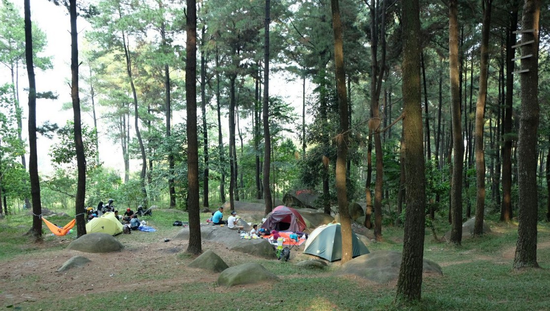 Wisata Hutan Pinus Gunung Pancar Bogor