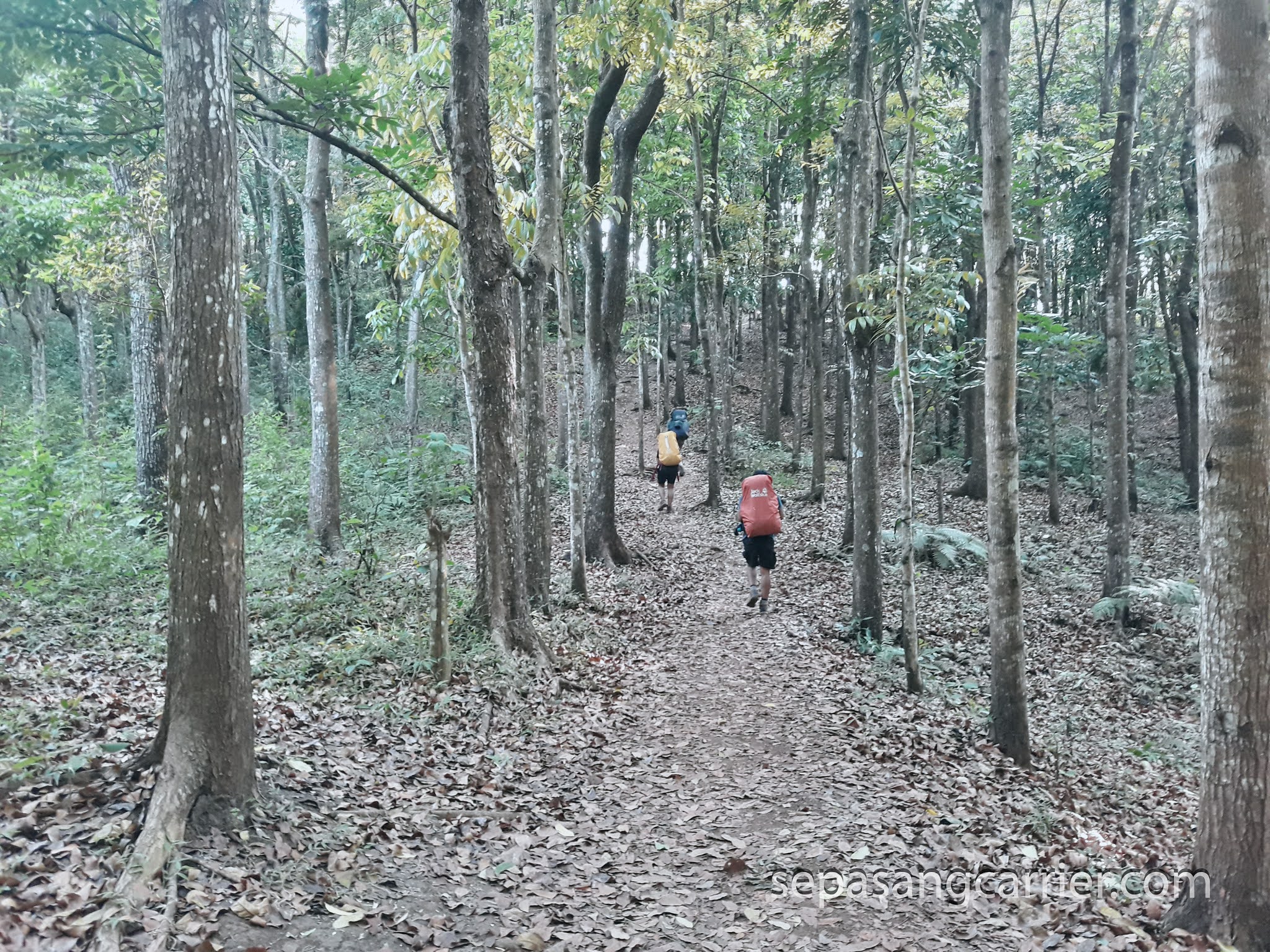 Pendakian Bukit Watu Jengger Mojokerto - SEPASANGCARRIER