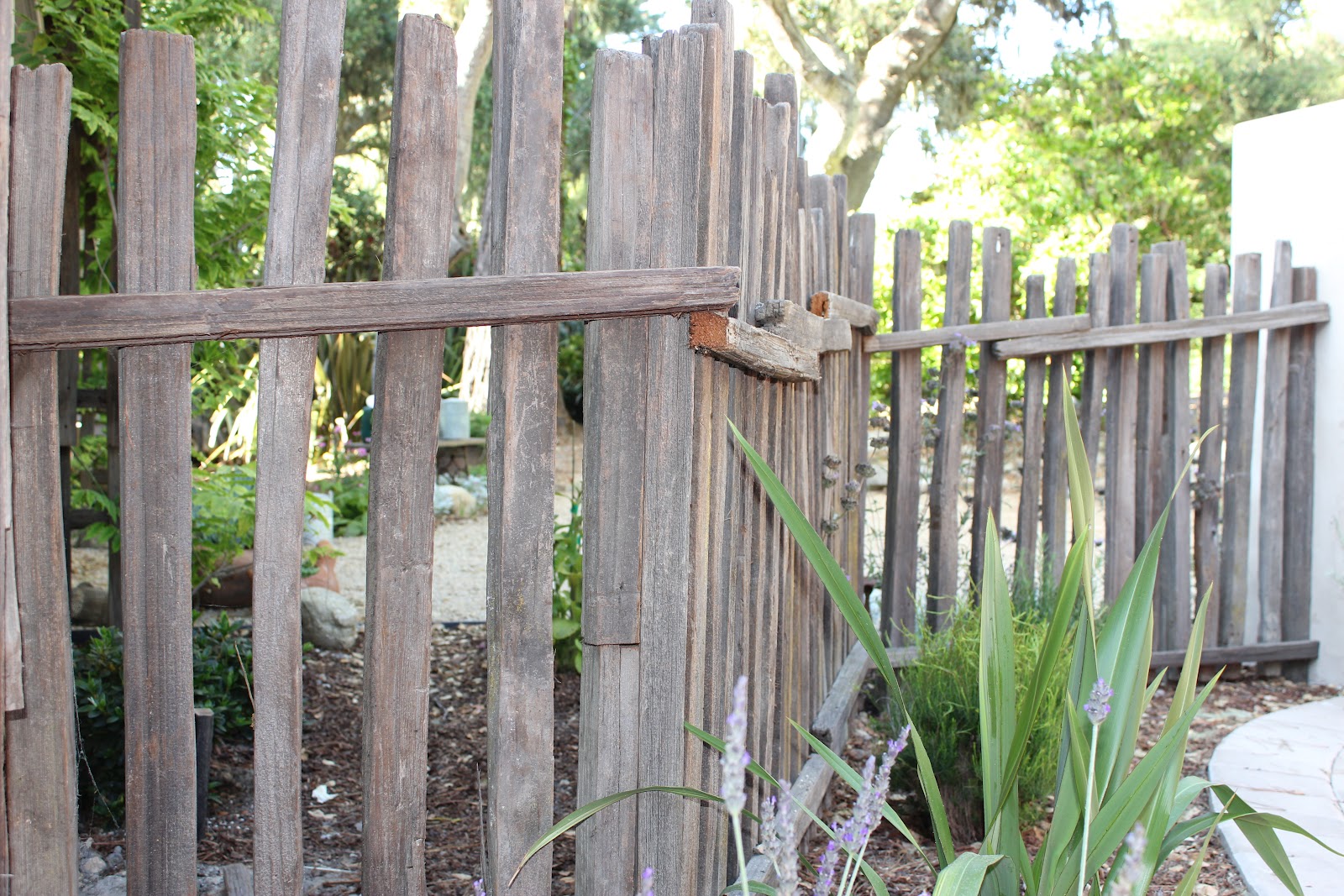 European Farmhouse Charm: The Beautiful Patina of 80 year old Grape ...