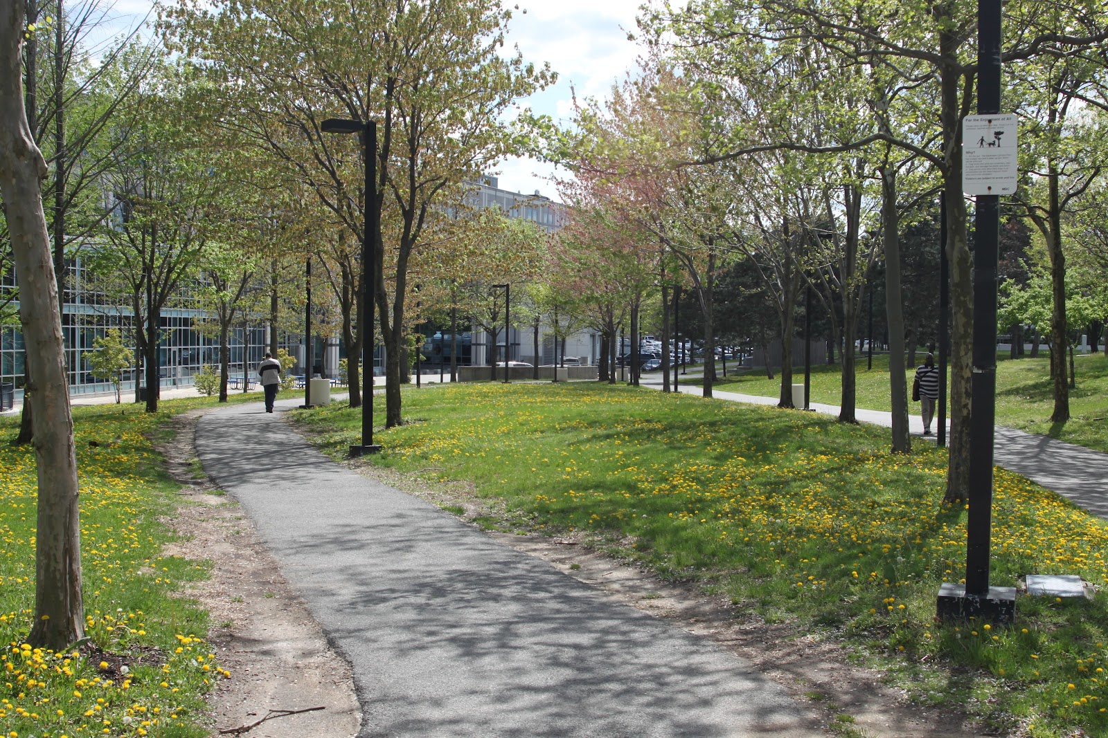Calm Streets Boston: Dual Paths on South West Corridor