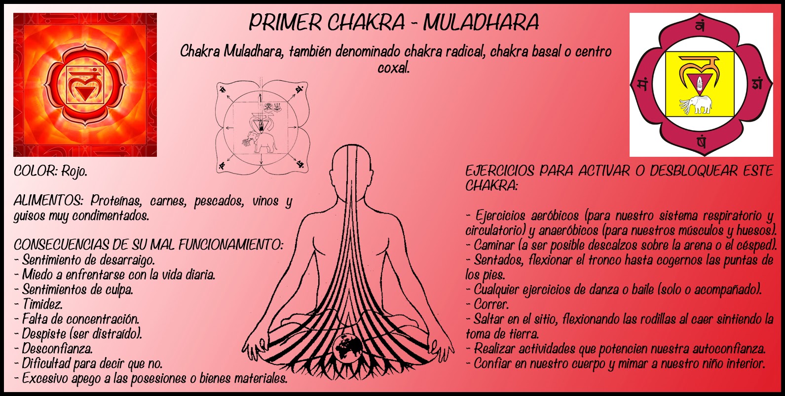 Primer Chakra Muladhara - El Mundo del Yoga