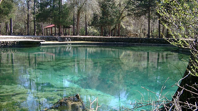 Astor Bridge Marina: Visit De Leon Springs State Park