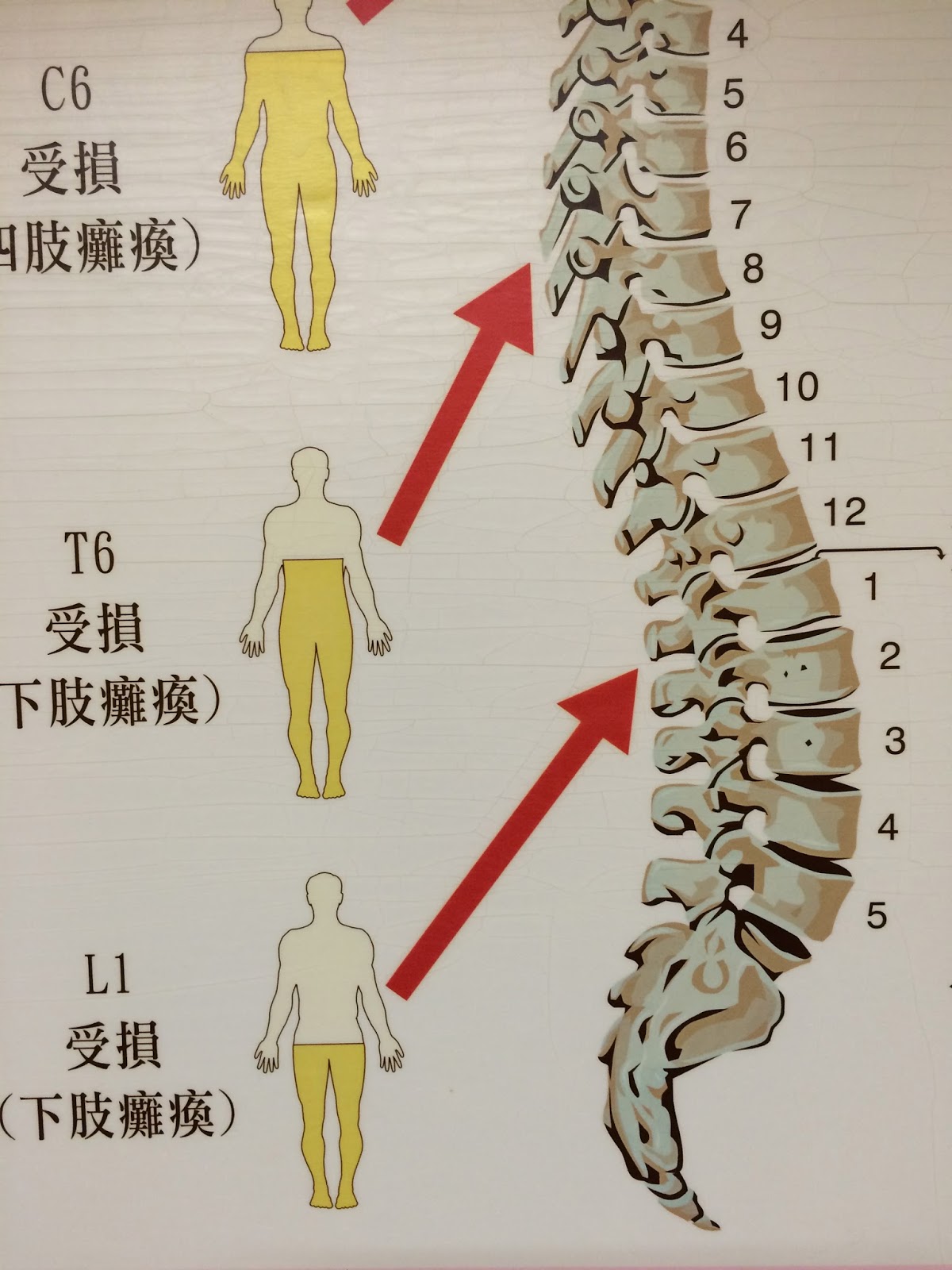 Ans en Chiel, in de buurt van Tiel: September 2015