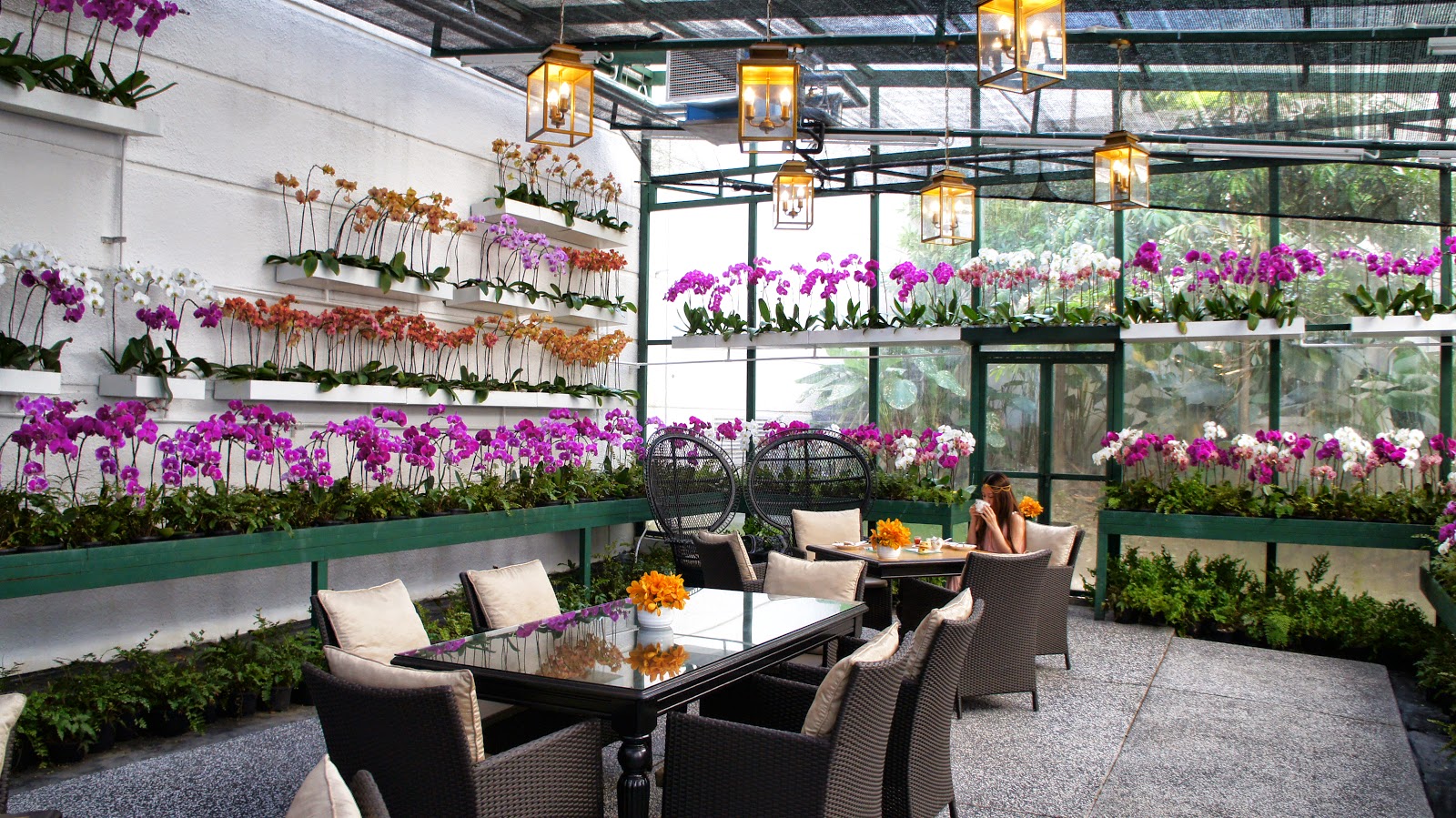 Waiii Sek Meowsss: The Orchid Conservatory @ The Majestic Hotel