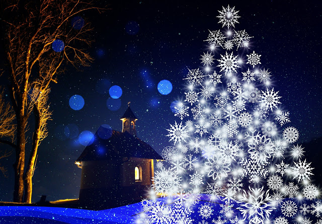 Gambar Gambar POHON NATAL KEREN untuk Background Banner dan Kartu Ucapan Gambar Gambar POHON NATAL KEREN untuk Background Banner dan Kartu Ucapan