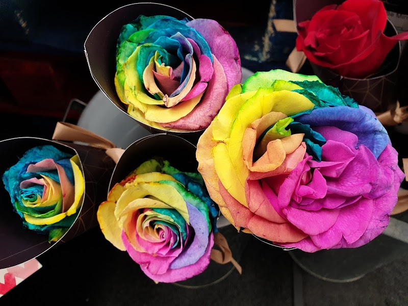 ARE RAINBOW ROSES REAL? |The Garden of Eaden