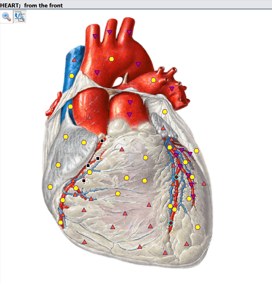 ΔΙΑΓΝΩΣΗ ΚΑΙ ΑΝΑΣΤΟΛΗ ΚΙΝΔΥΝΟΥ ΕΜΦΡΑΓΜΑΤΟΣ - Ολοσυντονισμός ...