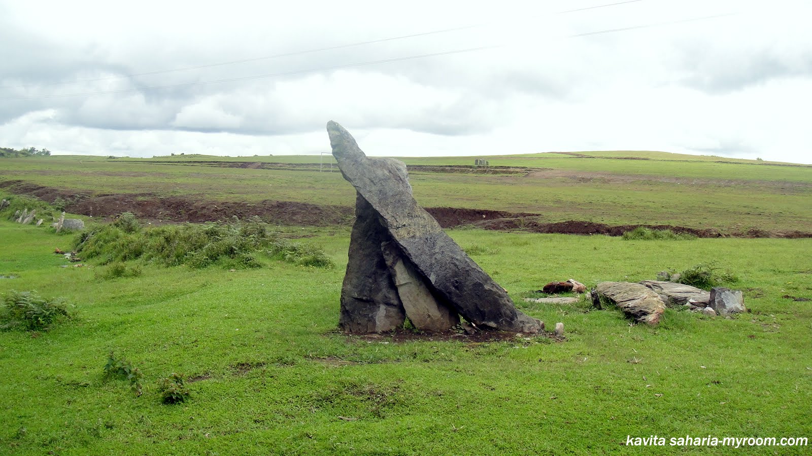 my room: Sacred Grove/Forest : Law Lyngdoh At Mawphlang Meghalaya