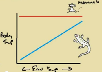 napas's biology: 2.77(a) understand that homeostasis is the maintenance ...