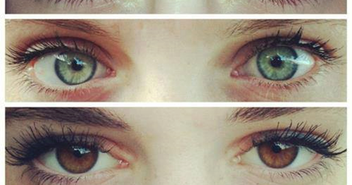 Materiales de clase de Español: La raza Aria